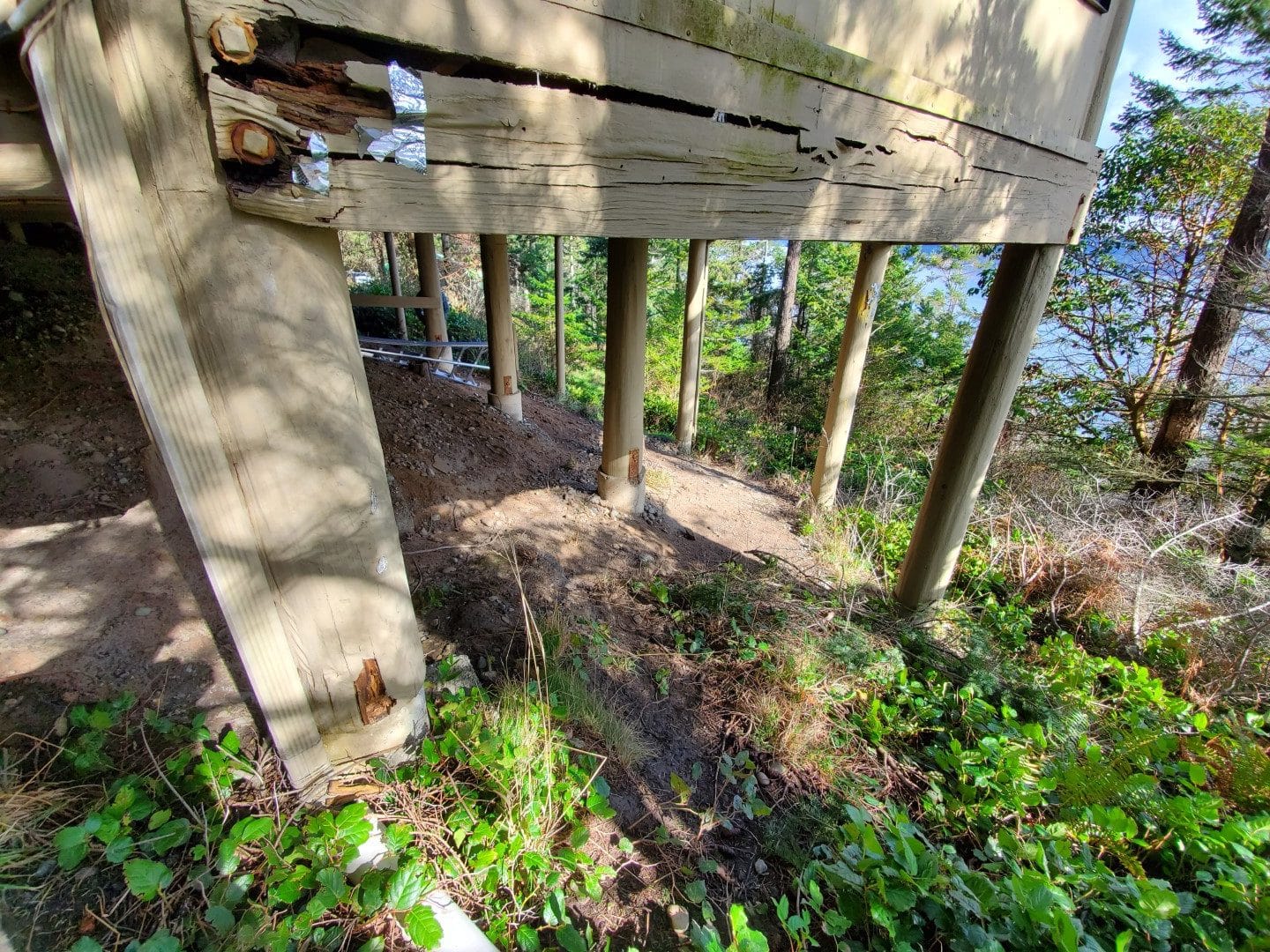 Wood Inspection Services