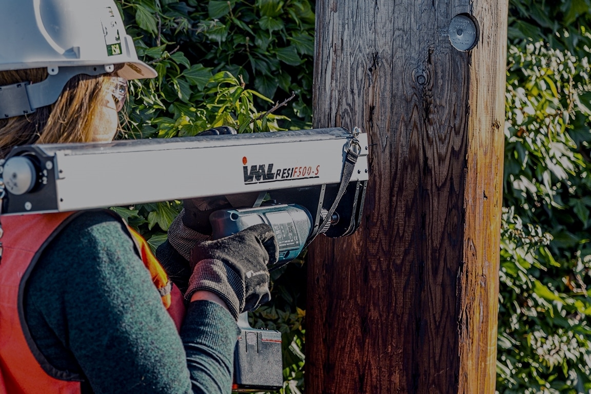 Wood Inspection and Testing Services - Peninsula Environmental Group, Inc.