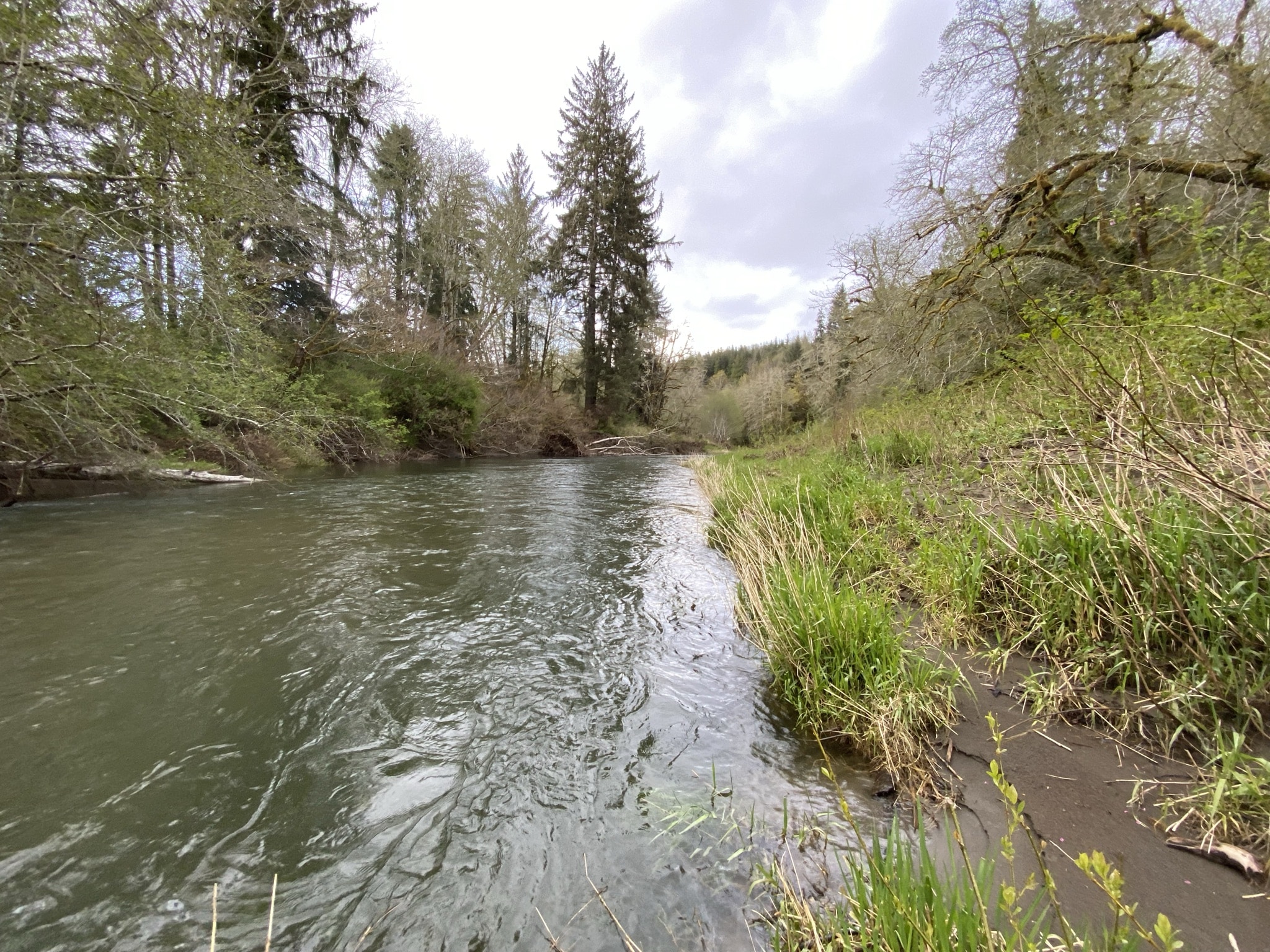 Hoko-Ozette Wetland Delineations for NOSC